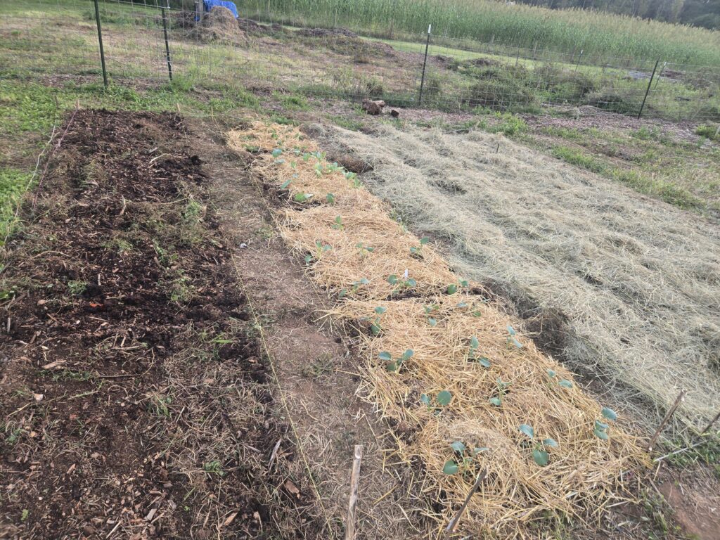 2026 Spring Agricultural Discipleship Training in Umatilla, FL ...